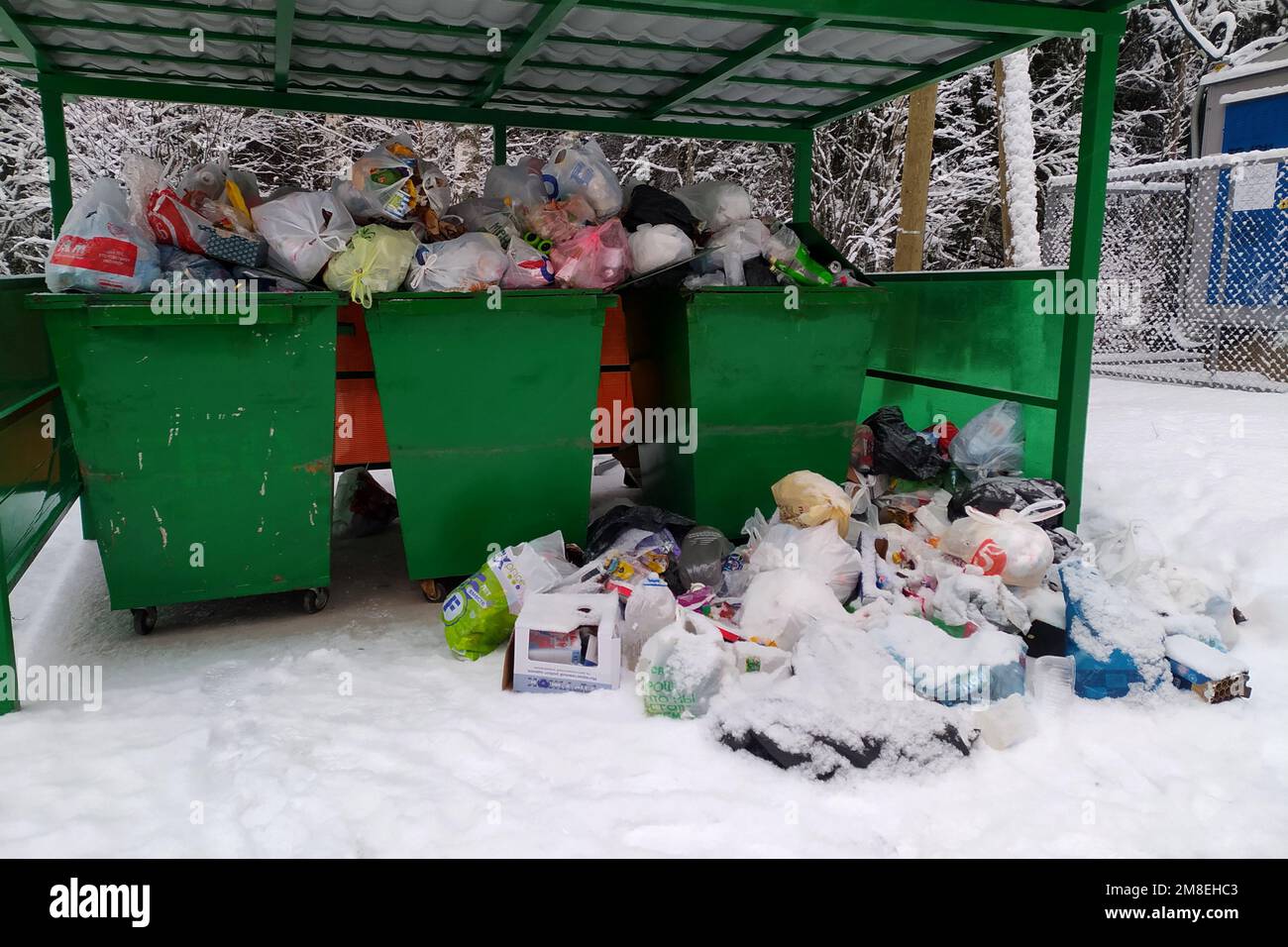 Russian Federation. Leningrad region, near the city of St. Petersburg ...