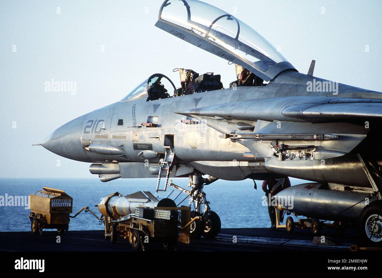 An AIM-54C Phoenix missile and two chaff and flare dispensers sit on skids beside a Fighter ...