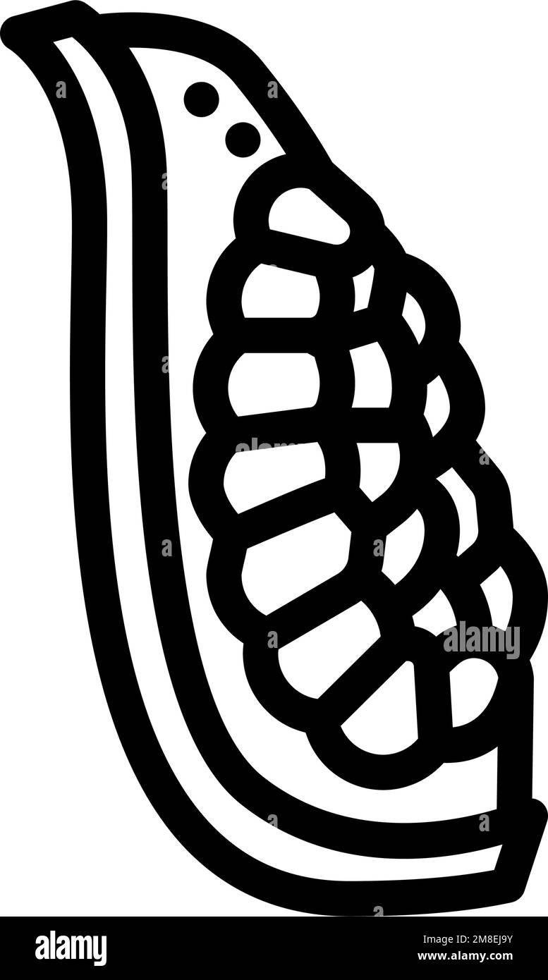 pomegranate cut ripe slice line icon vector illustration Stock Vector ...