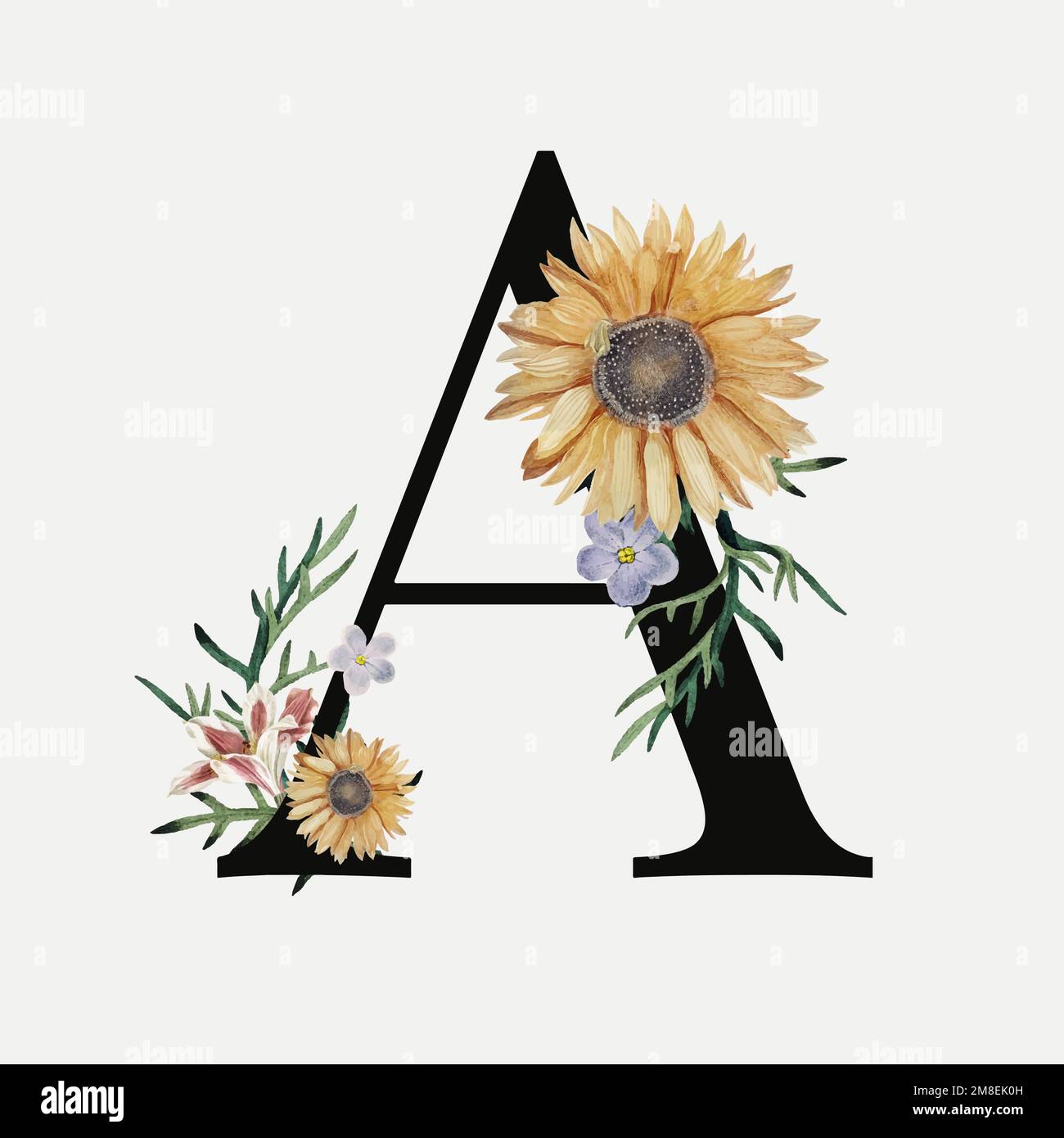 Floral alphabet A vector typography Stock Vector Image & Art - Alamy