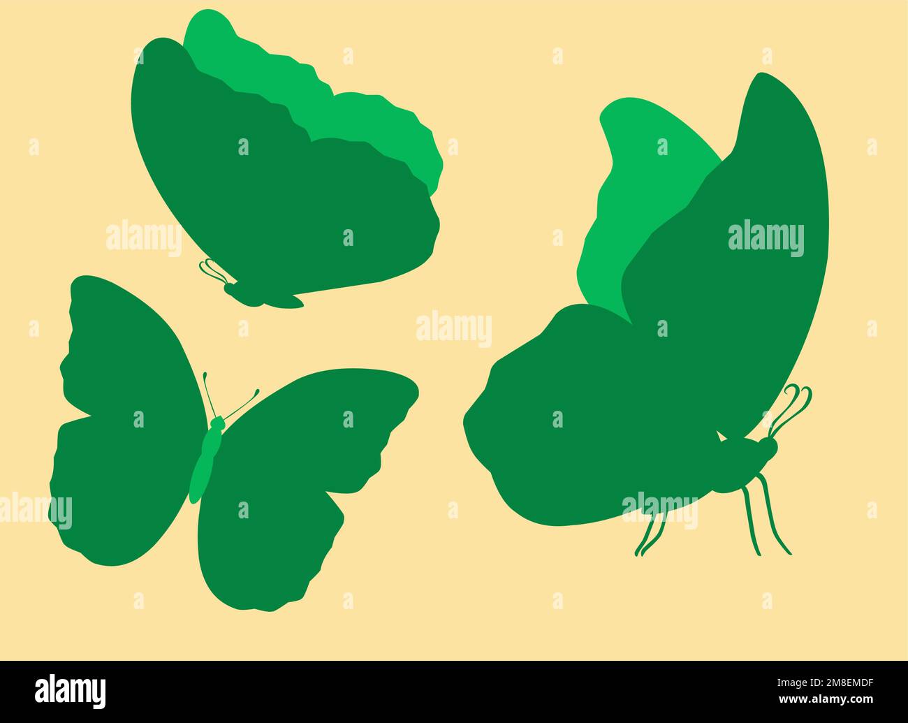 set butterfly symbol vector illustration for design Stock Vector Image ...