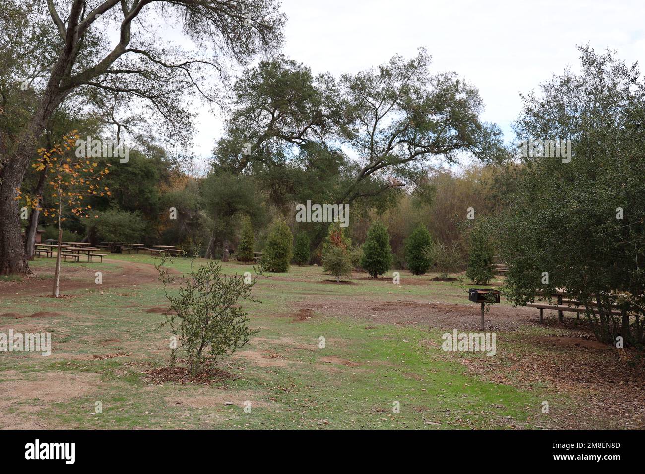 Largetree hi-res stock photography and images - Alamy