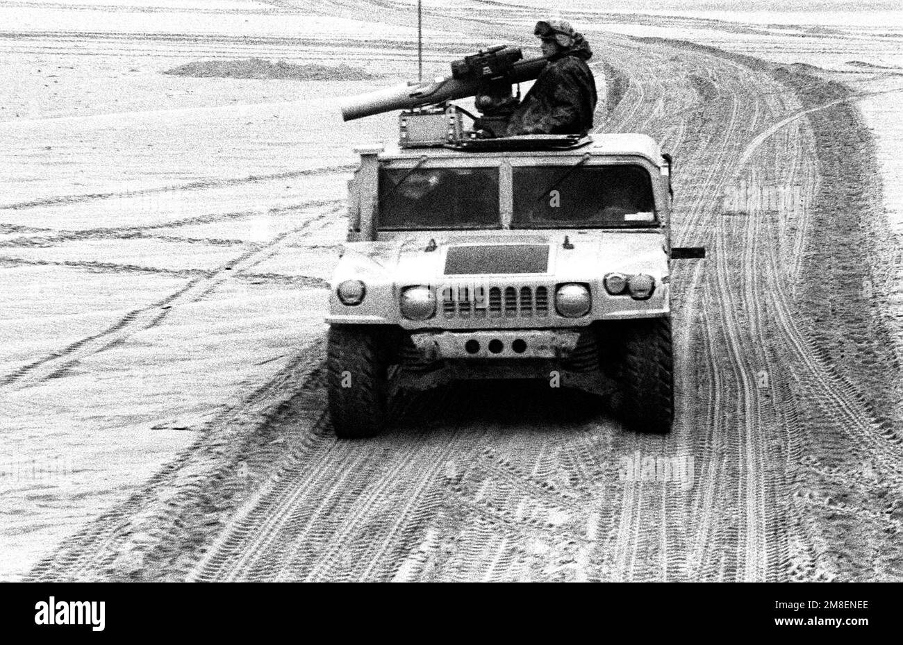 A member of the 1ST Light Armored Infantry (LAI) Battalion, 1ST Marine ...