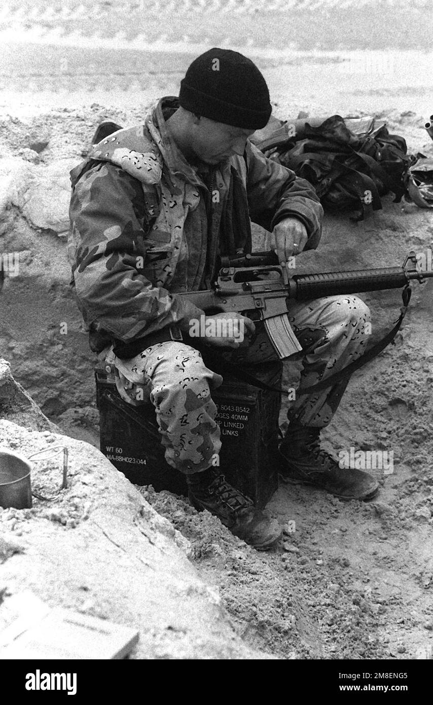 A member of D Co., 1ST Light Armored Infantry (LAI) Battalion, 1ST ...