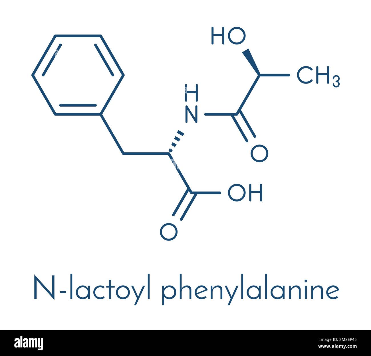 Phenylalanine Foods