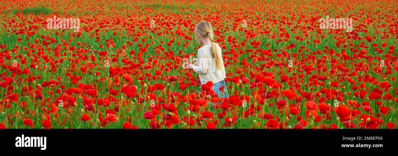 Little girl on the poppies meadow. Spring and kid. Wide photo banner ...
