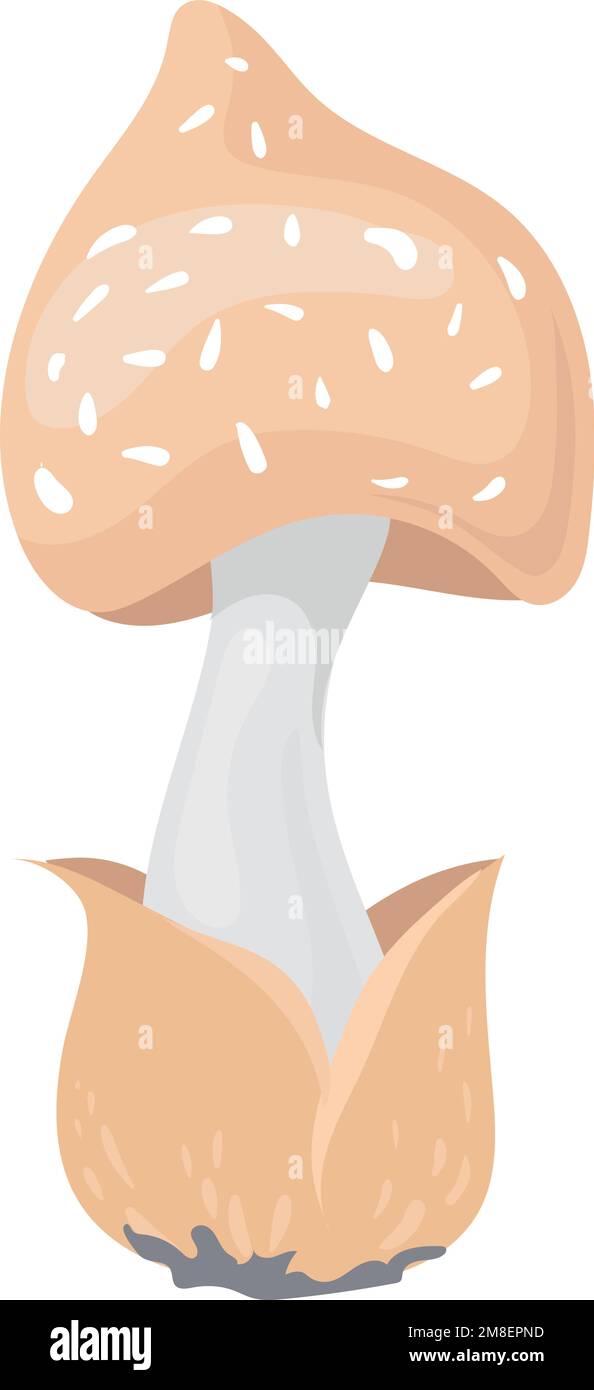 Death cap mushroom cartoon icon. Unedible fungus isolated on white ...