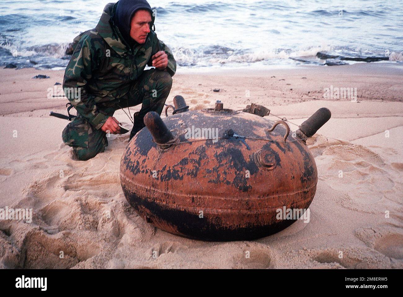 A member of a multinational Explosive Ordnance Disposal (EOD) team ...