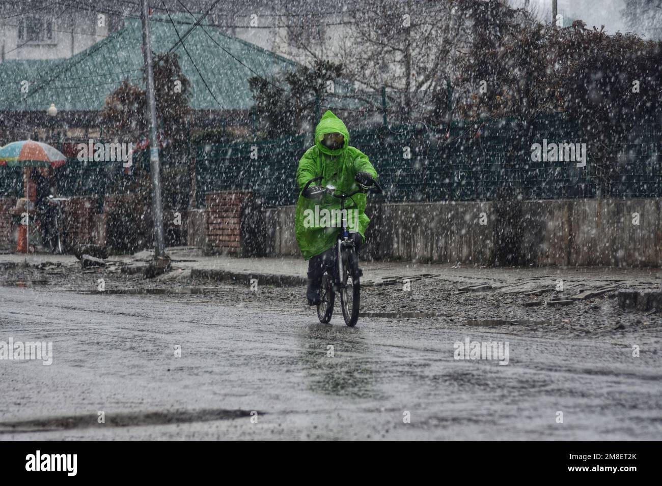 January 13, 2023, Srinagar, Jammu and Kashmir, India: A cyclist rides ...