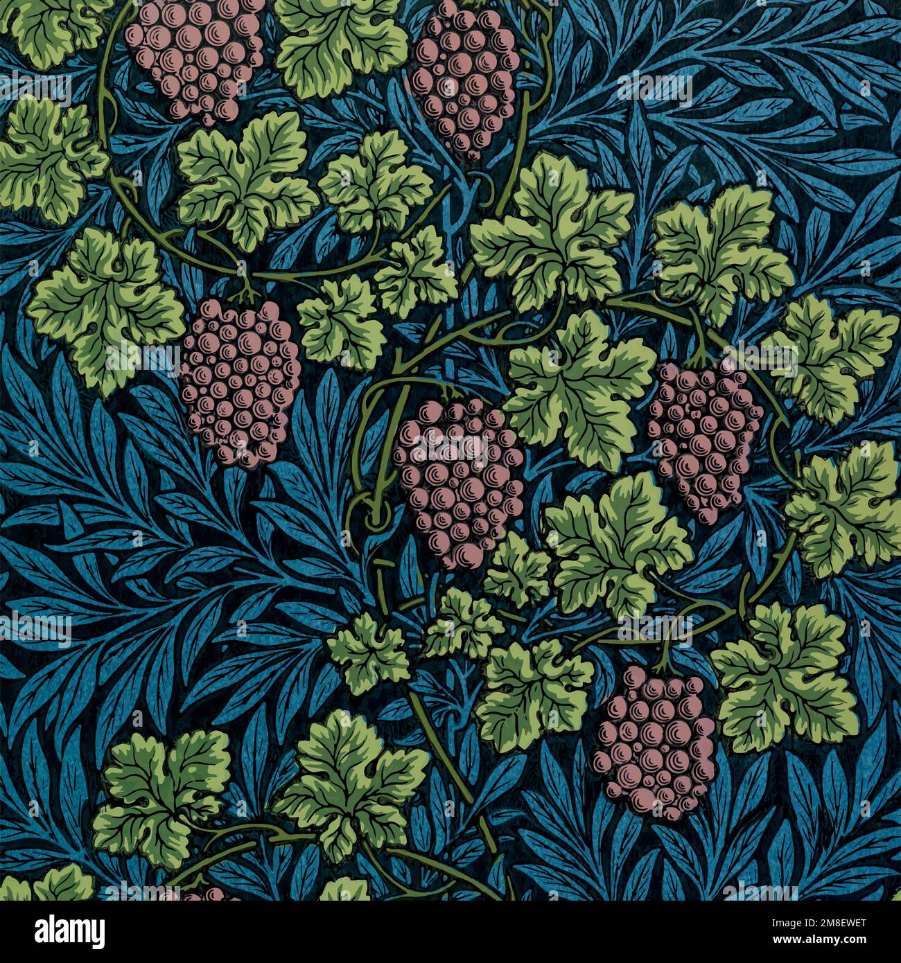 Vintage grapes and vines pattern vector Stock Vector Image & Art - Alamy