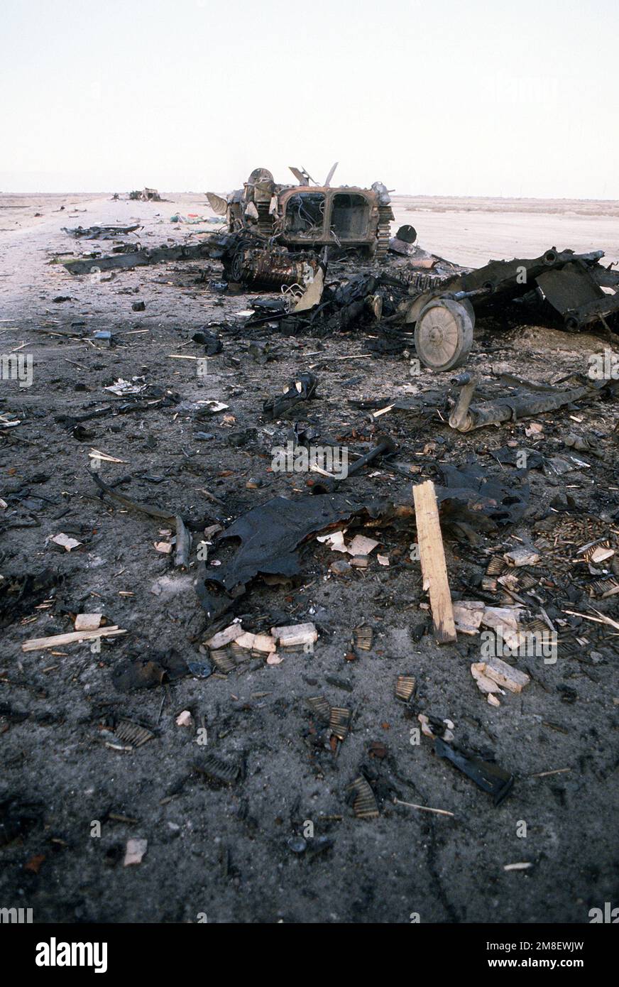 A demolished Iraqi BMP-1 mechanized infantry combat vehicle and other ...