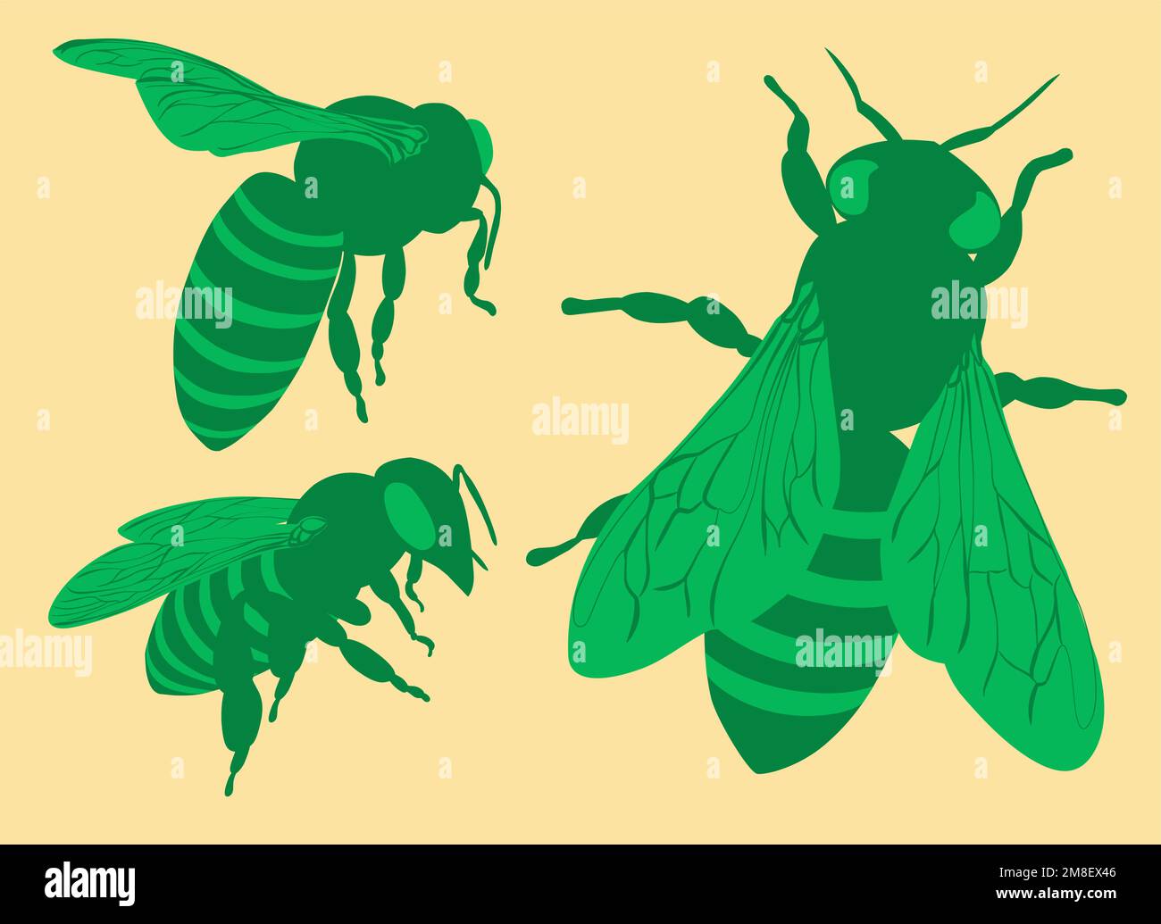 set bees symbol vector illustration for design Stock Vector Image & Art ...