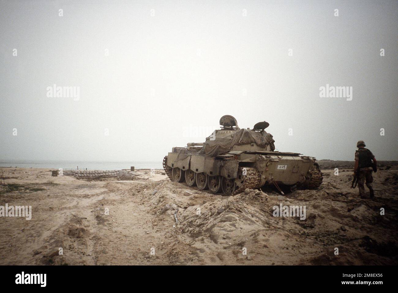 An Iraqi T-55 main battle tank is towed from its beachfront emplacement ...