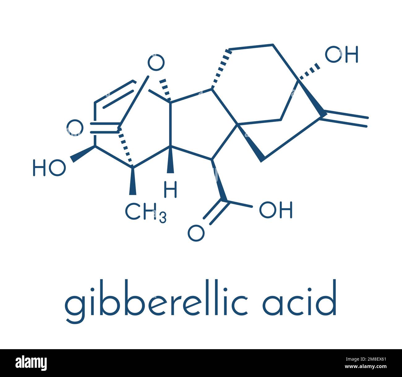 Gibberellic acid (gibberellin A3, GA3) plant hormone molecule. Skeletal ... Gibberellic acid (gibberellin A3, GA3) plant hormone molecule. Skeletal ...