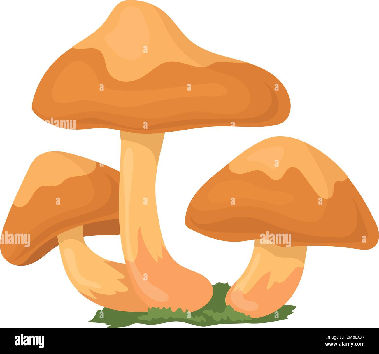 Forest mushroom growing. Wild fungus cartoon icon isolated on white ...