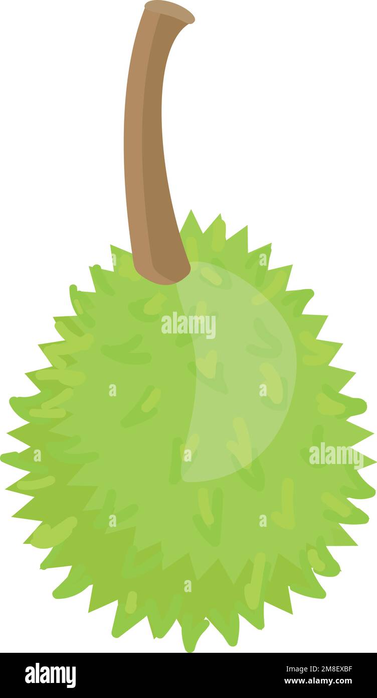 Whole durian icon cartoon vector. Sweet fruit Stock Vector Image & Art ...