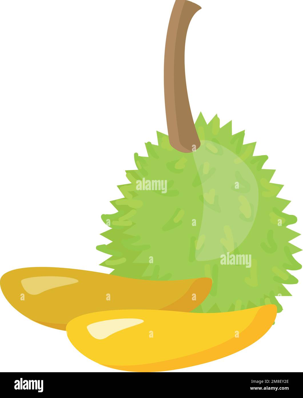 Natural leaf icon cartoon vector. Durian fruit Stock Vector Image & Art ...