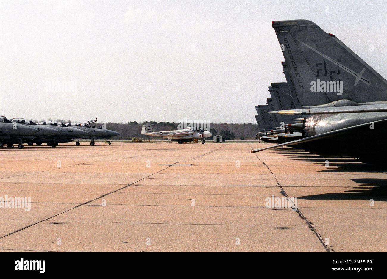 Attack Squadron 75 (VA-75) KA-6D Intruder aircraft and F-14A Tomcat ...