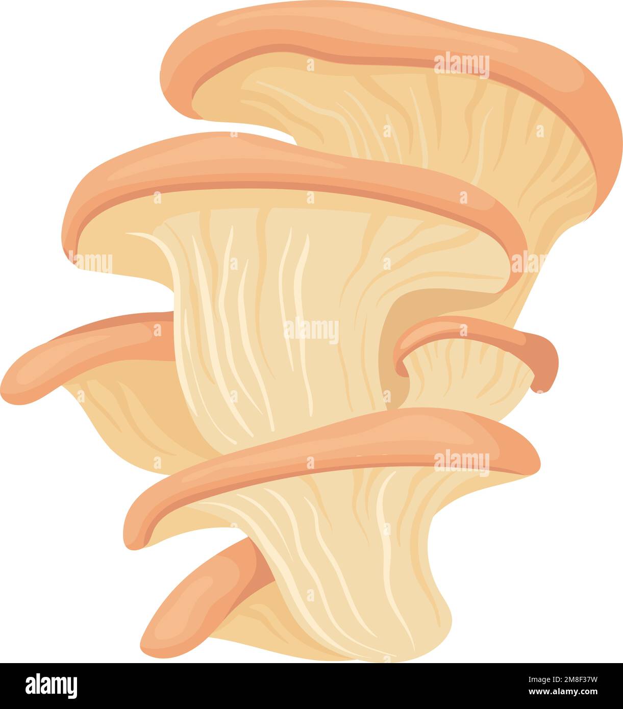 Oyster fungus cartoon icon. Forest wild mushroom isolated on white ...