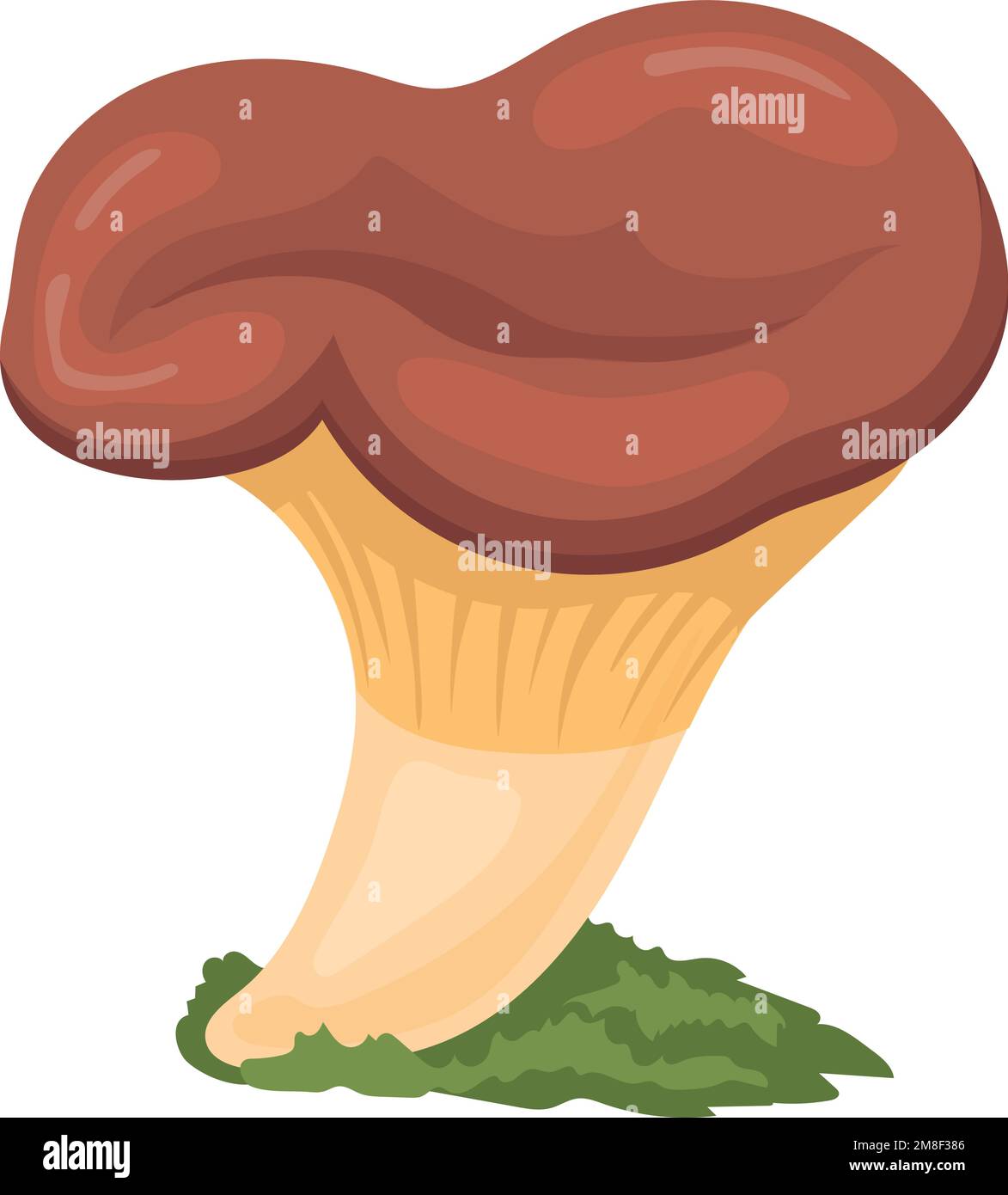 Forest brown cup fungus. Cartoon milk mushroom isolated on white ...