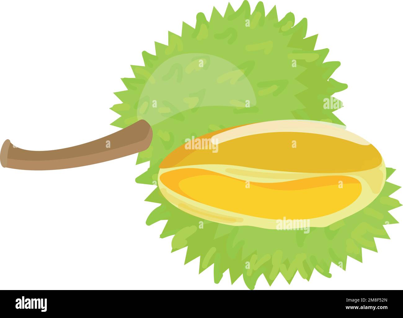 Durian Clipart Durian PNG Images, Durian Clipart Free Download