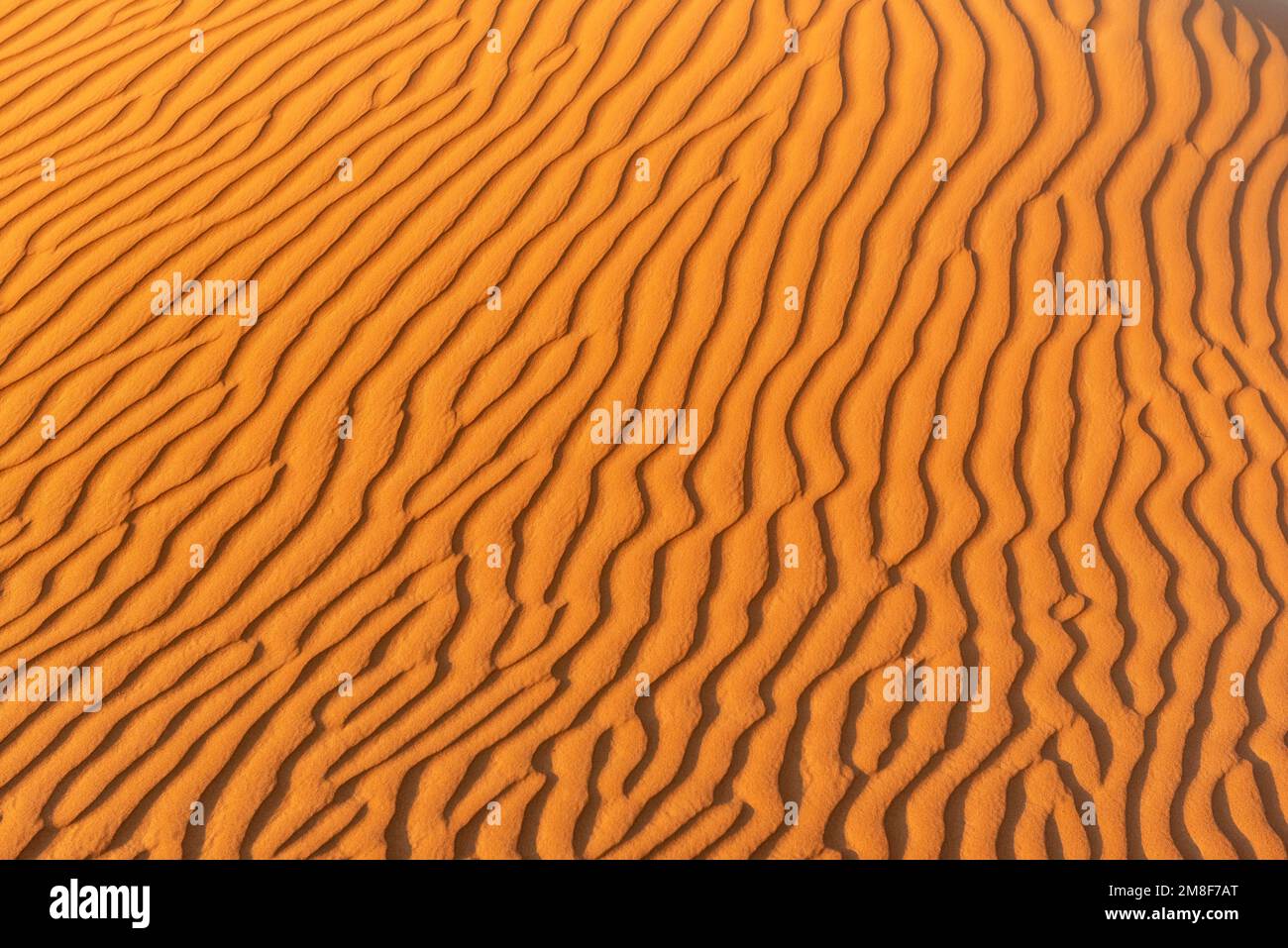 Natural patterns and ripples in the sand, Wahiba Sands Desert, Bidiyah ...