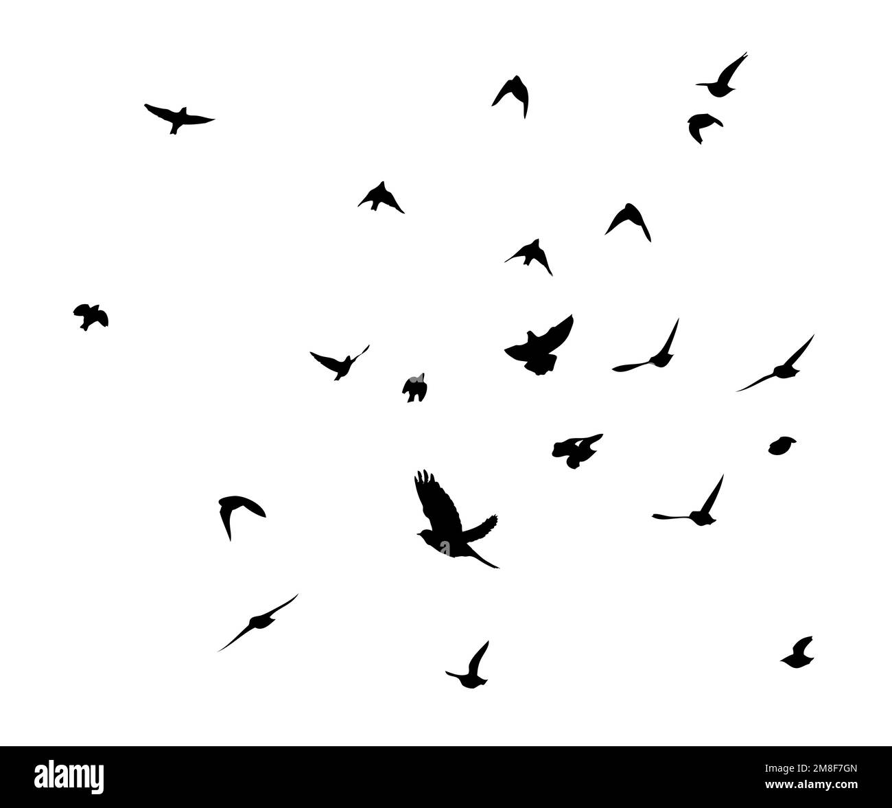 A flock of flying birds. Free birds. Vector illustration Stock Vector ...