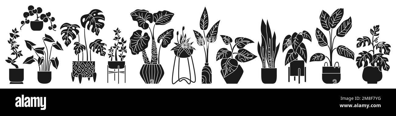 House potted plant, decorative engraving stamp set. Exotic houseplants ...