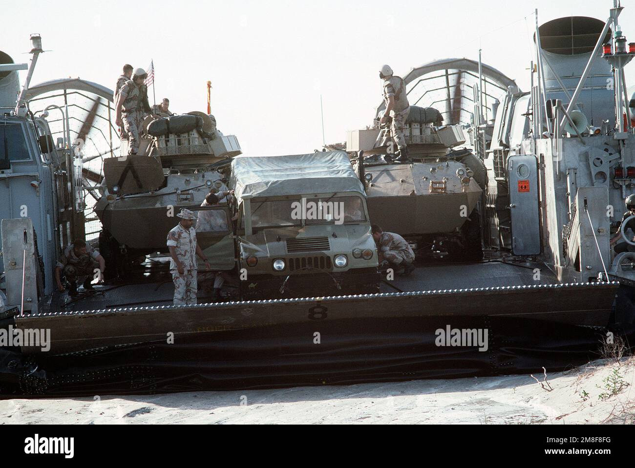 Marines from Company D, 2nd Light Armored Infantry Battalion, remove ...
