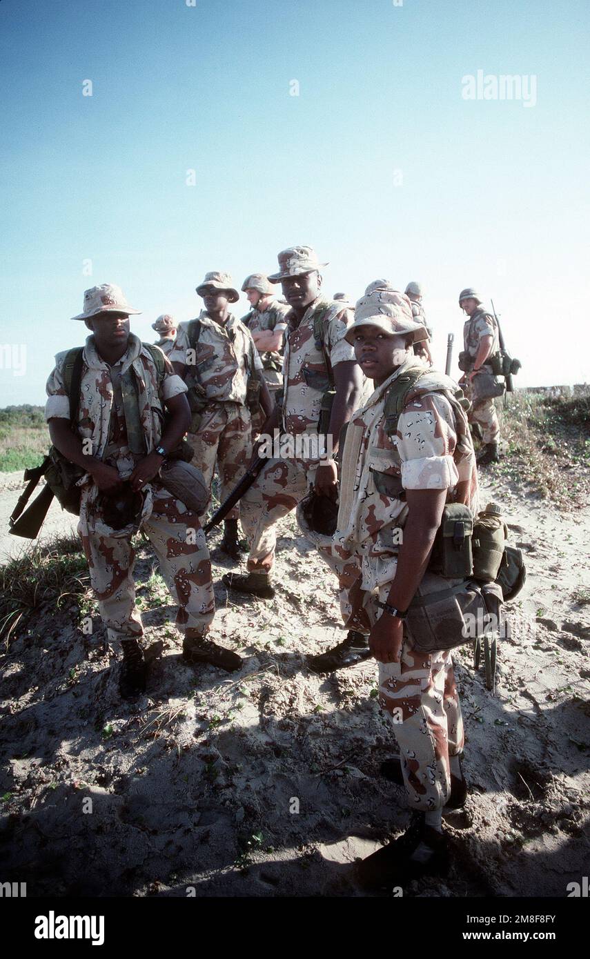 Operation Desert Storm Marines Amazon.com: Operation Desert Storm: