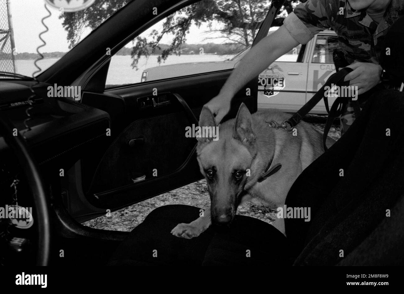 Usa drug detection dog Black and White Stock Photos & Images - Alamy