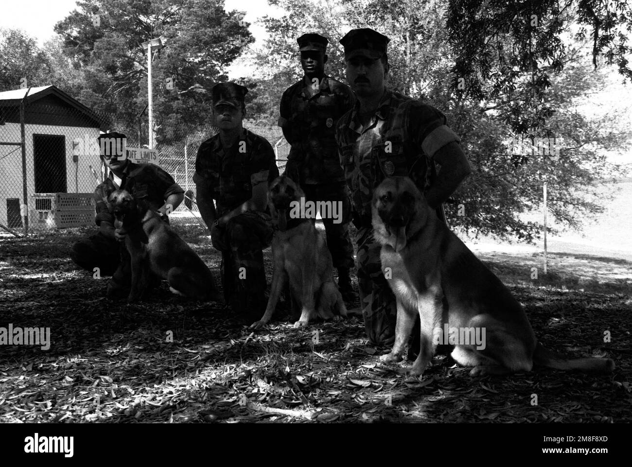 Military working dog comprising NAS Pensacola's K-9 Corps and their ...