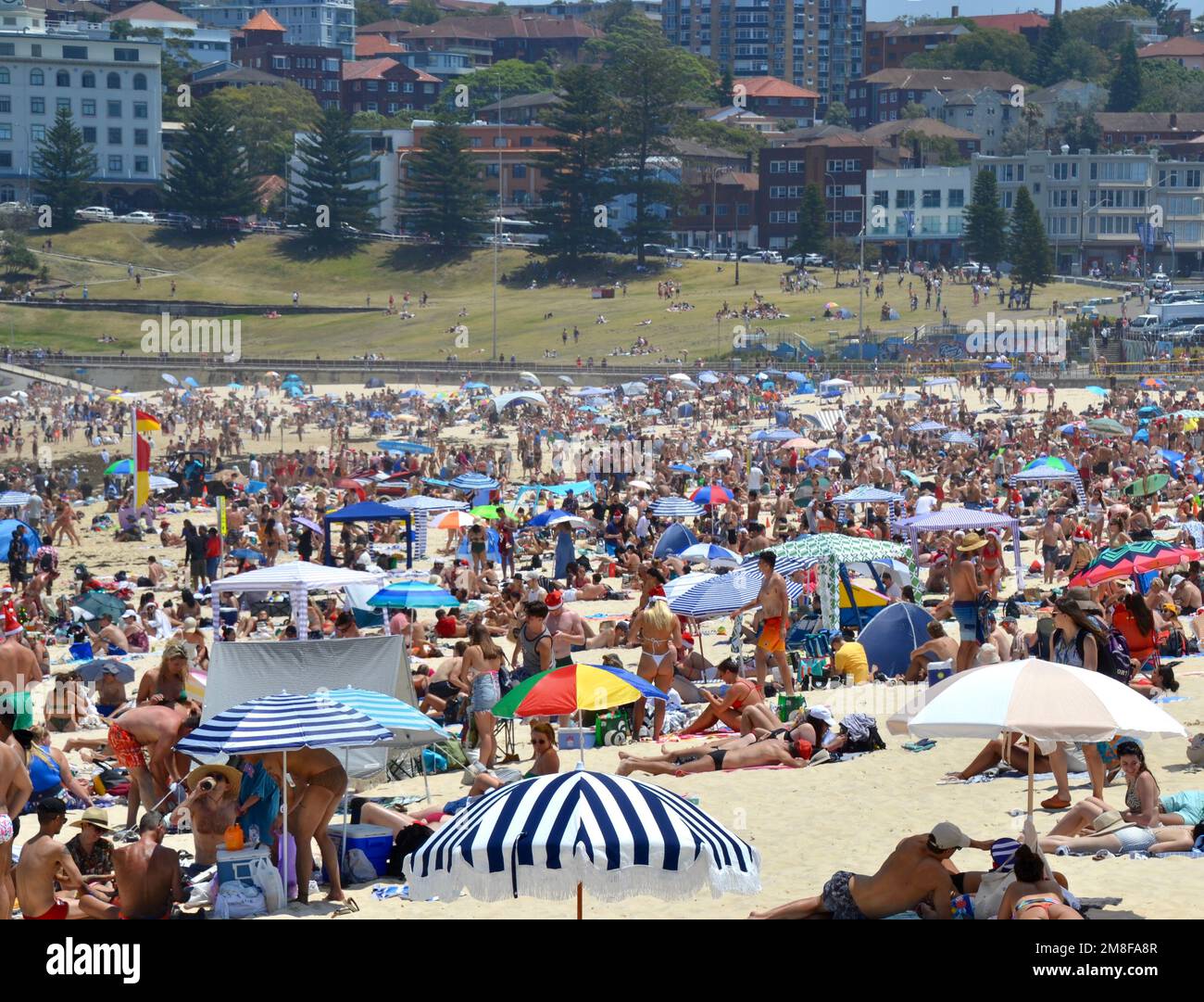 Christmas Day on Bondi Beach is a hot, sunny fun experience with many ...
