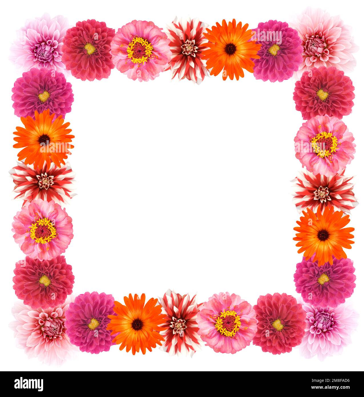 Different colors flower frame Stock Photo - Alamy