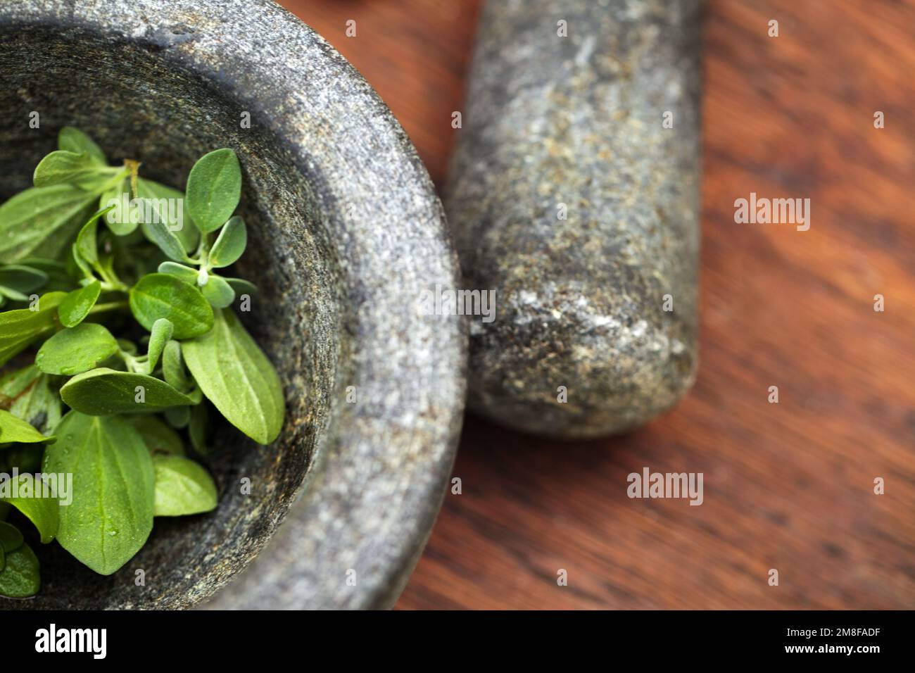 Plant cooking, mortar and pestle for herbs on table top in kitchen ...