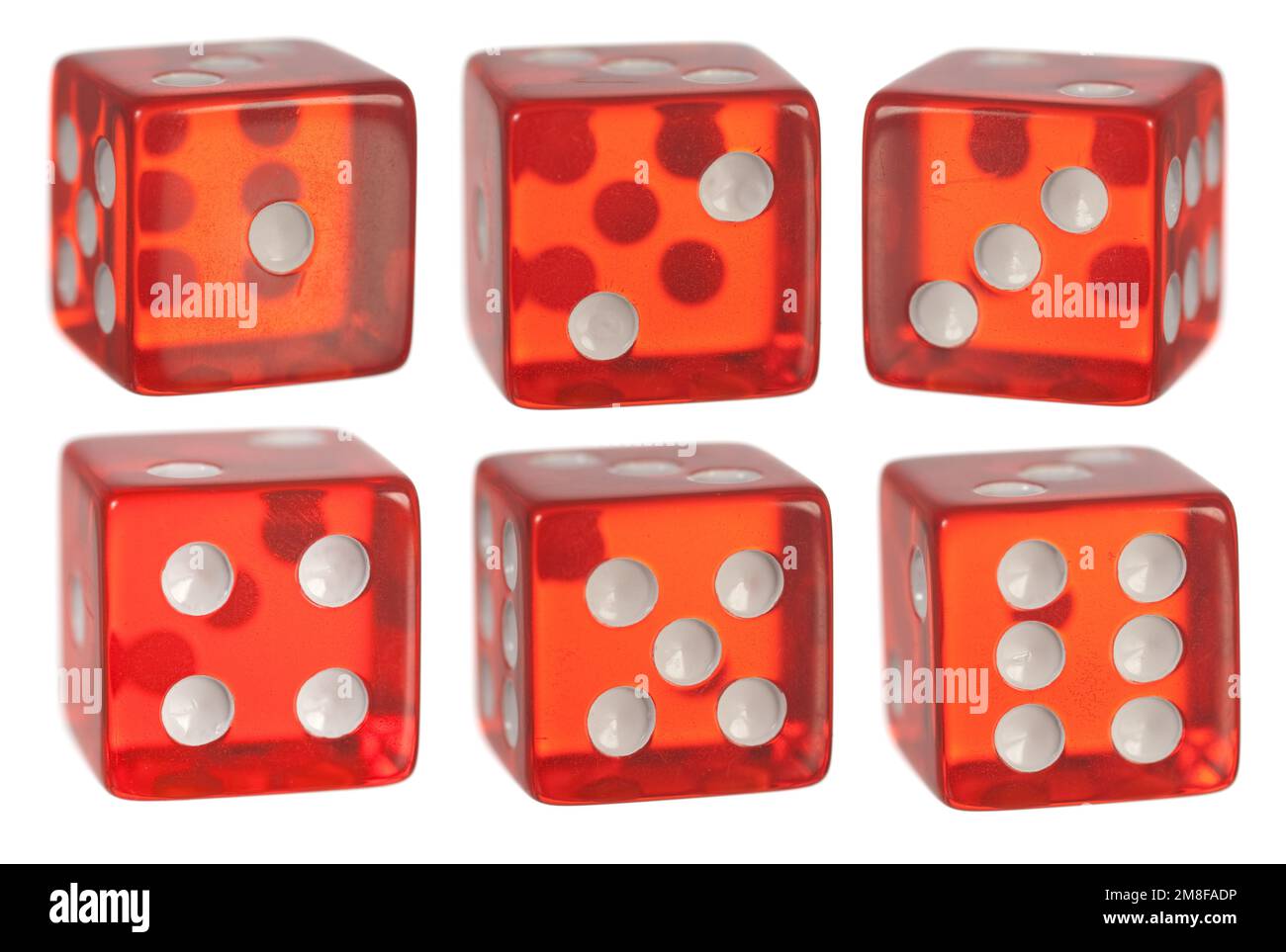 Random result Cut Out Stock Images & Pictures - Alamy