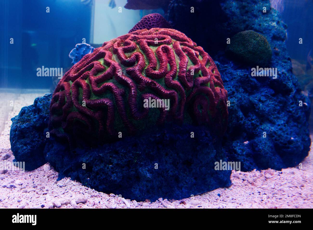 Institute building Marine Aquarium and Science Museum for thai people ...
