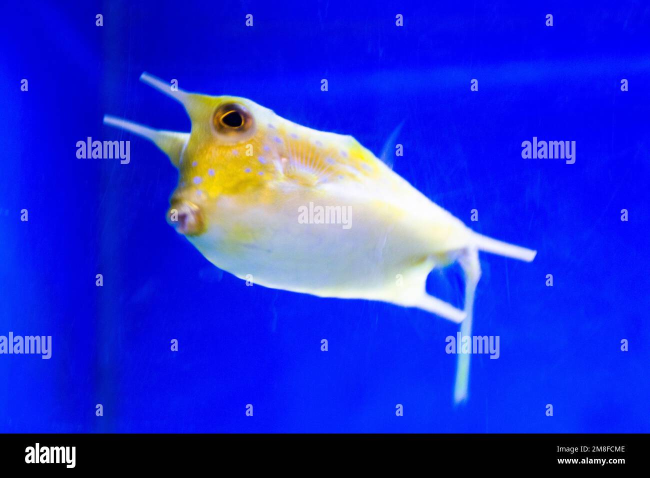 Institute building Marine Aquarium and Science Museum for thai people ...