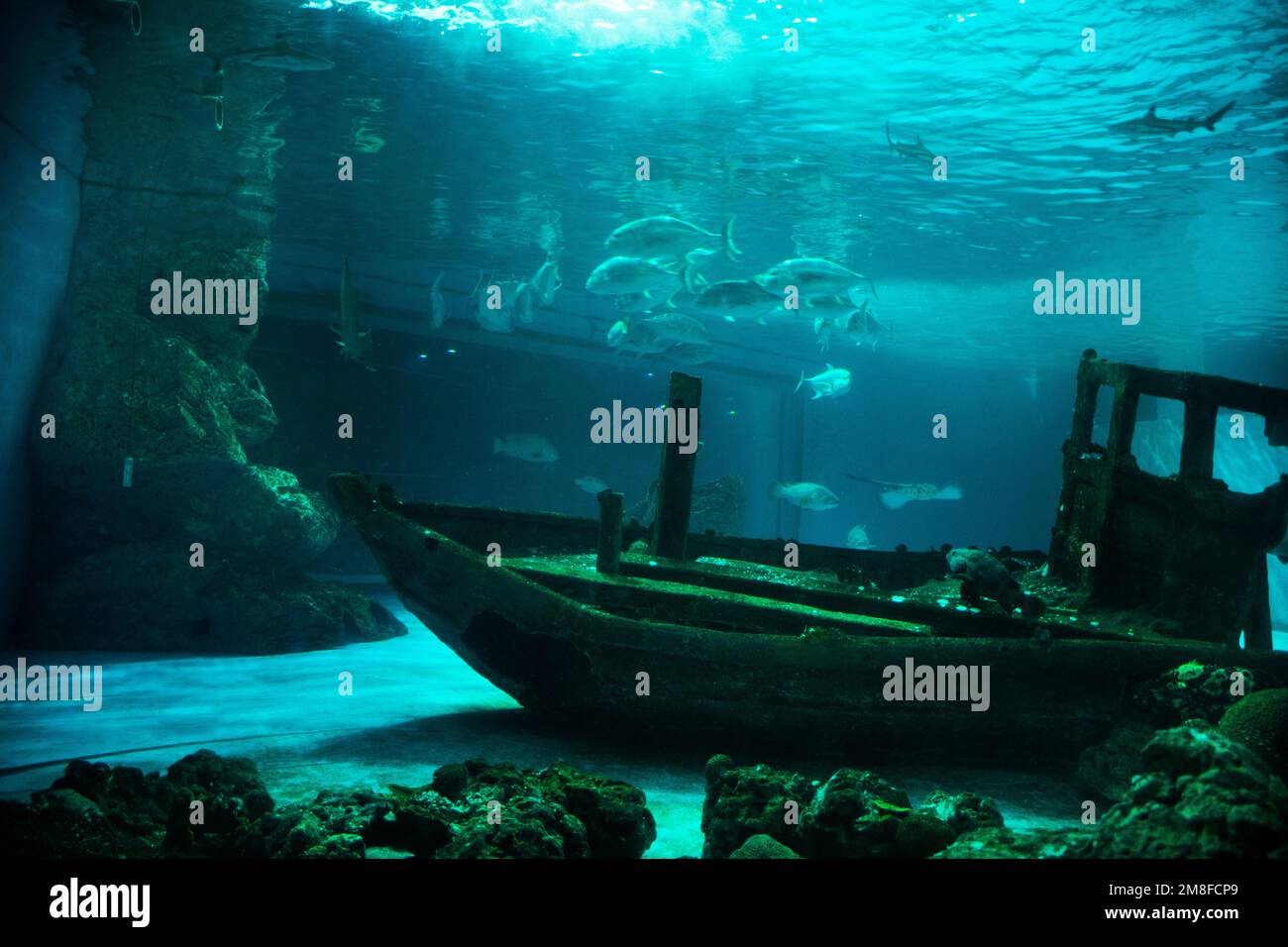 Institute building Marine Aquarium and Science Museum of Burapha ...