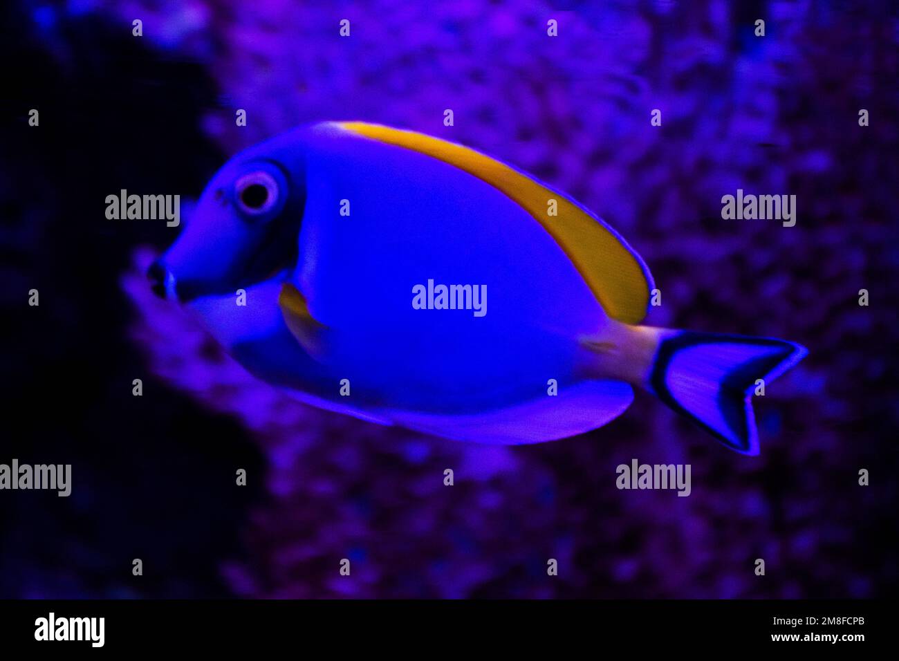 Institute building Marine Aquarium and Science Museum for thai people ...