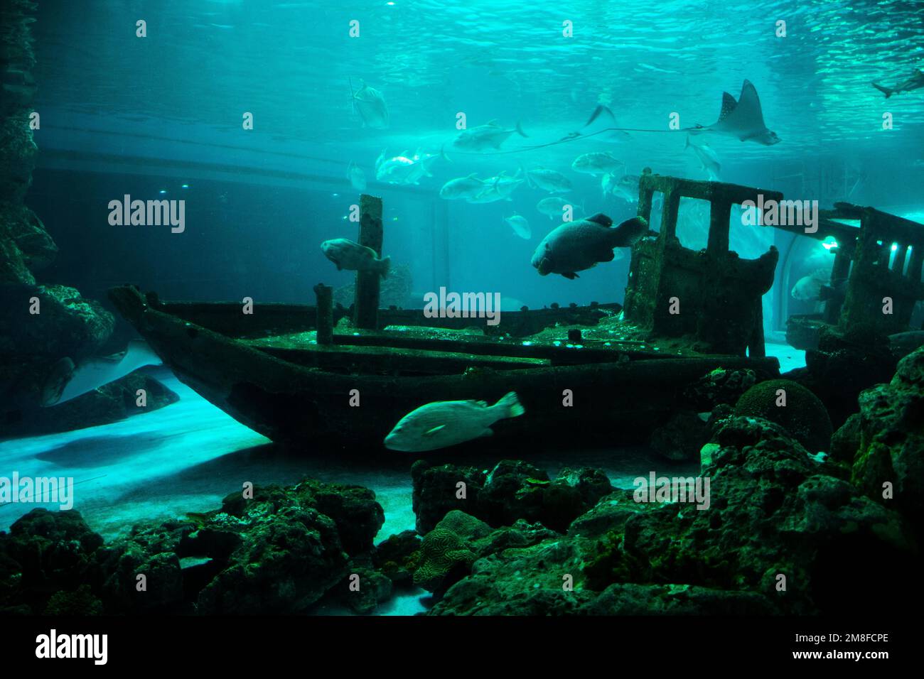 Institute building Marine Aquarium and Science Museum of Burapha ...