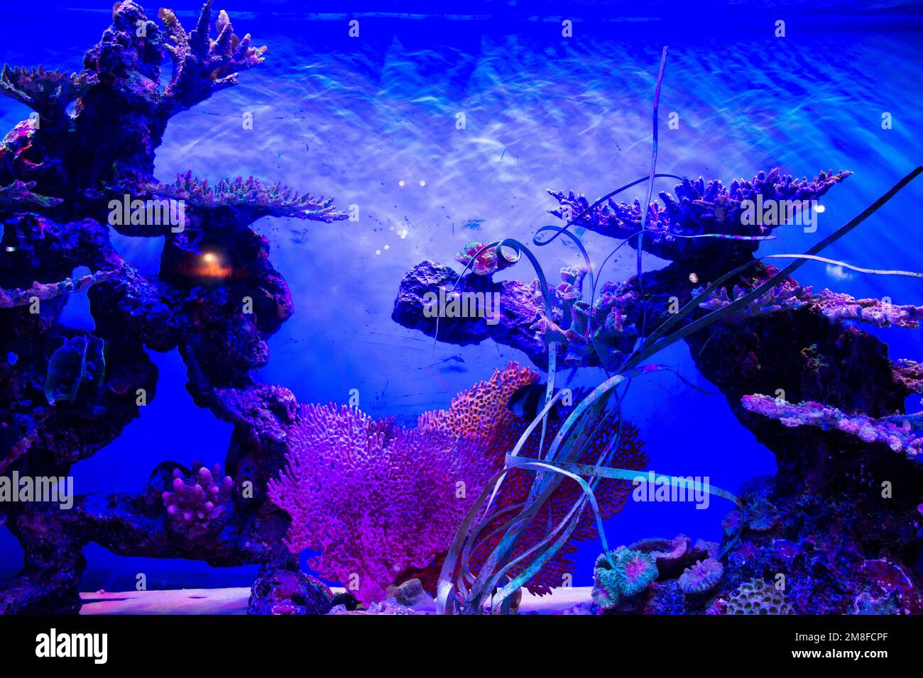 Institute building Marine Aquarium and Science Museum for thai people ...