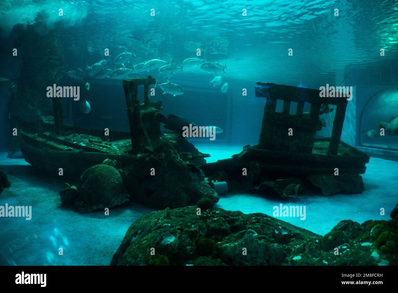 Institute building Marine Aquarium and Science Museum of Burapha ...