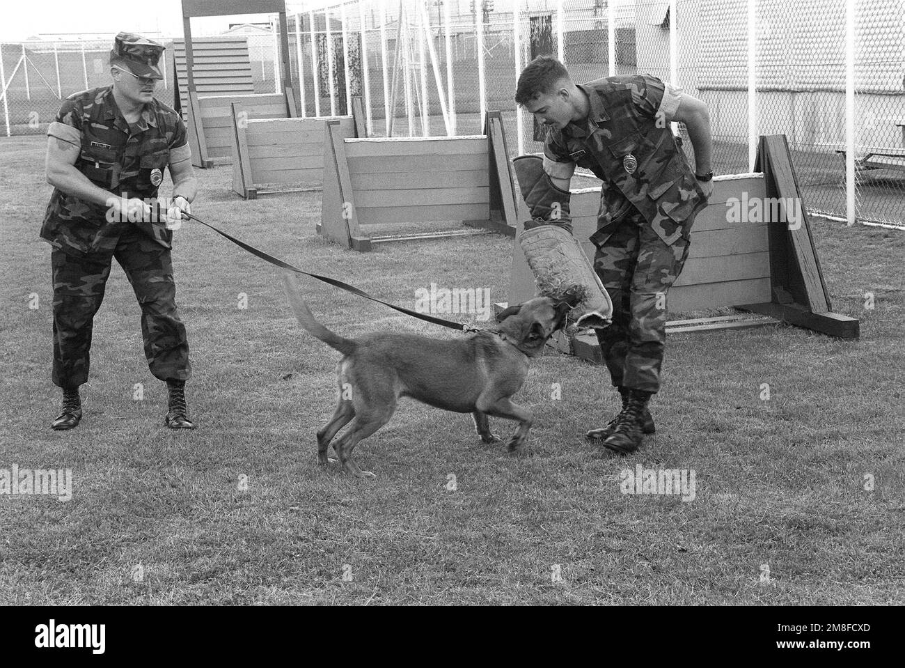 Military policeman CPL Pete Taylor holds onto the leash as Marco, his ...