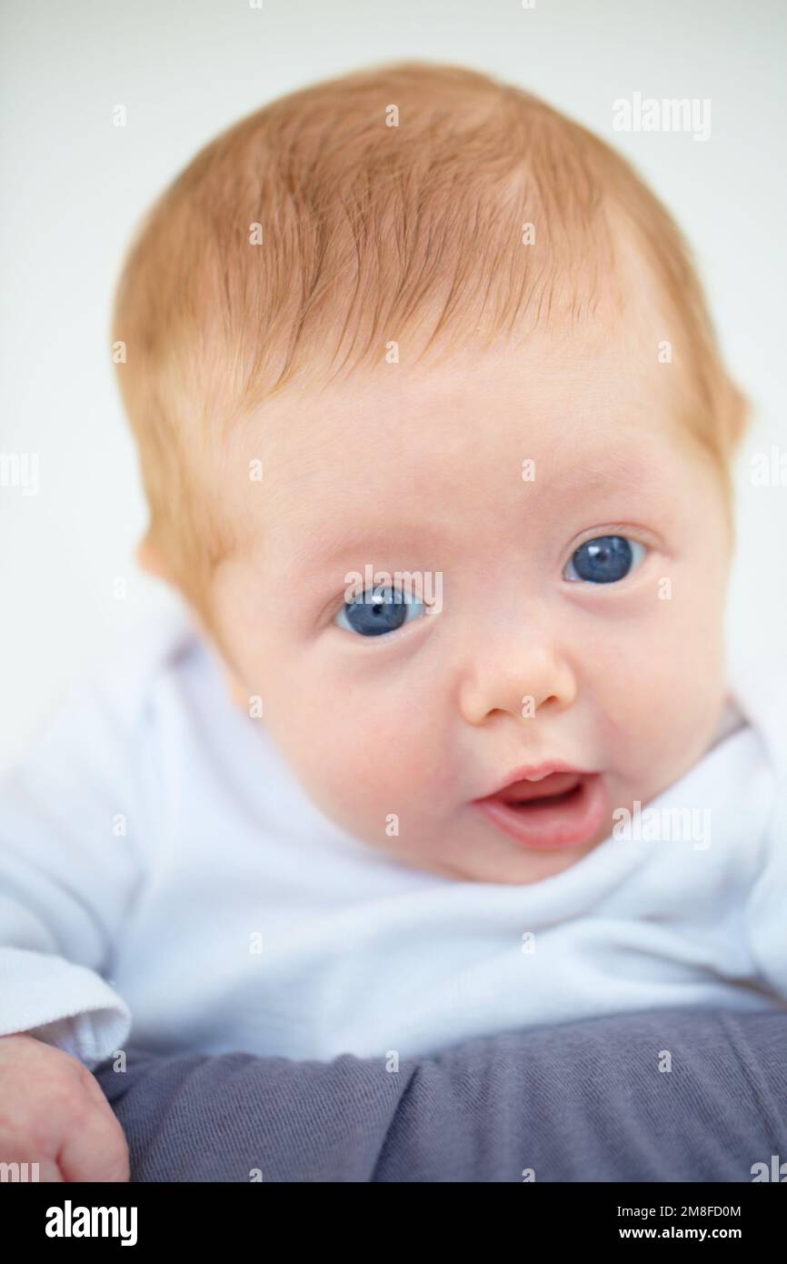 The world is such an interesting place. High angle closeup portrait of ...