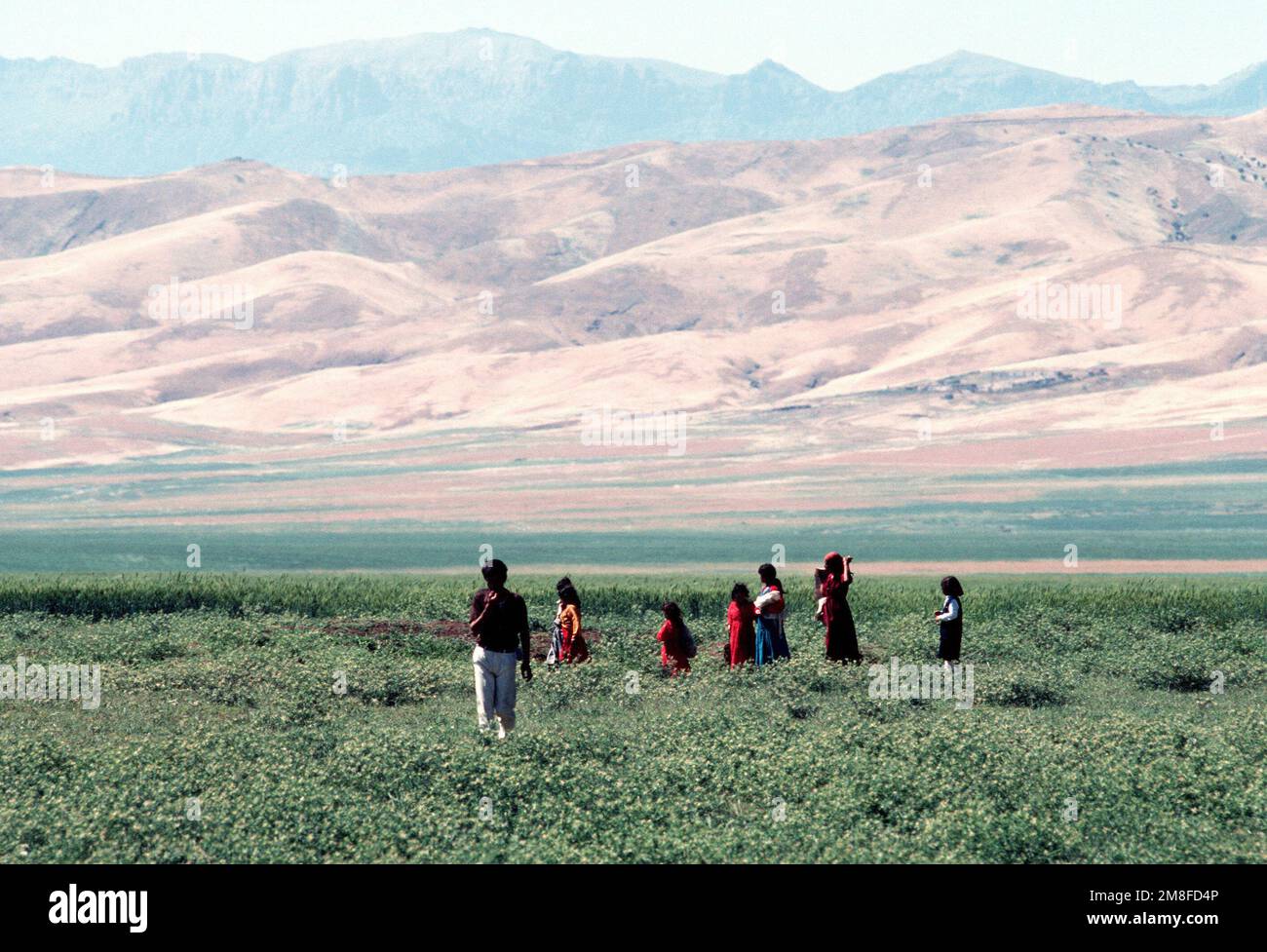 Kurdish refugees walk in a field near their camp during Operation ...