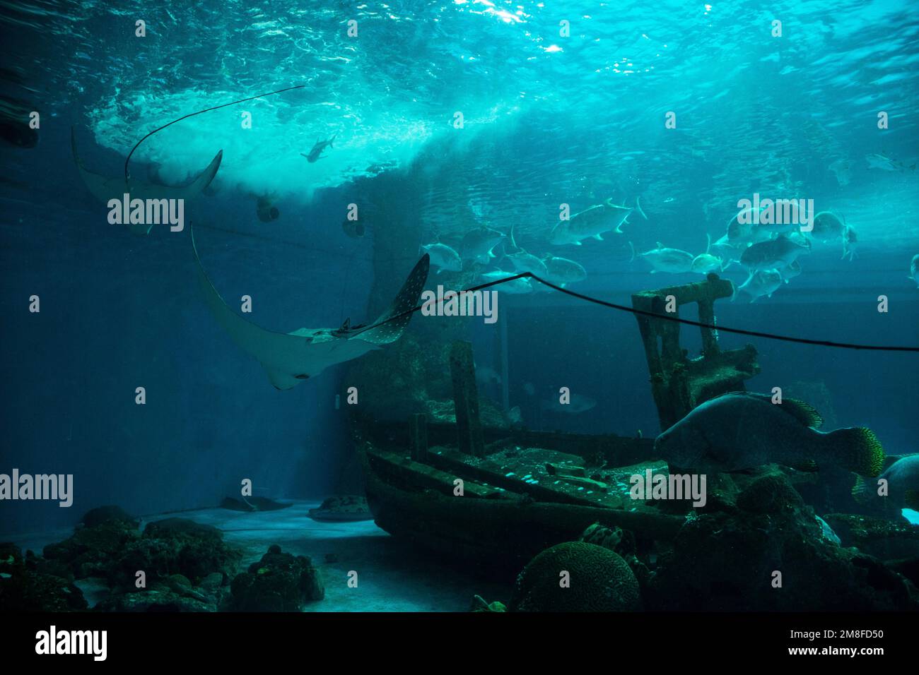 Institute building Marine Aquarium and Science Museum of Burapha ...