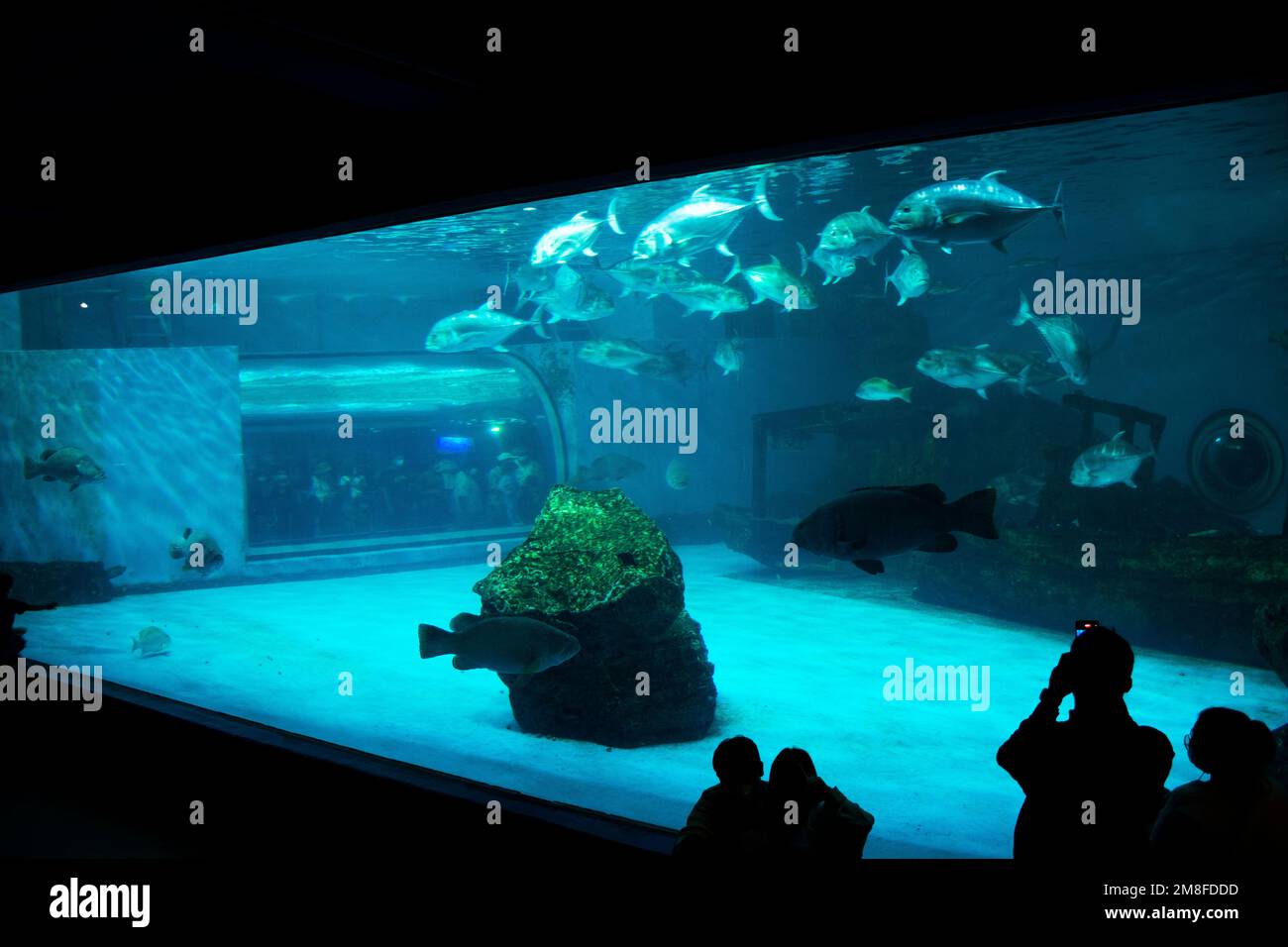 Institute building Marine Aquarium and Science Museum of Burapha ...