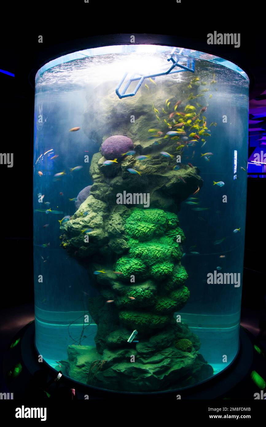 Large glass water tank for thai people and foreign travelers travel ...