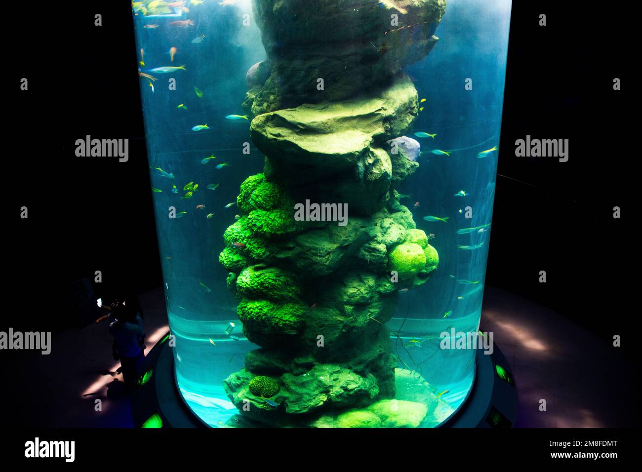 Large glass water tank for thai people and foreign travelers travel ...